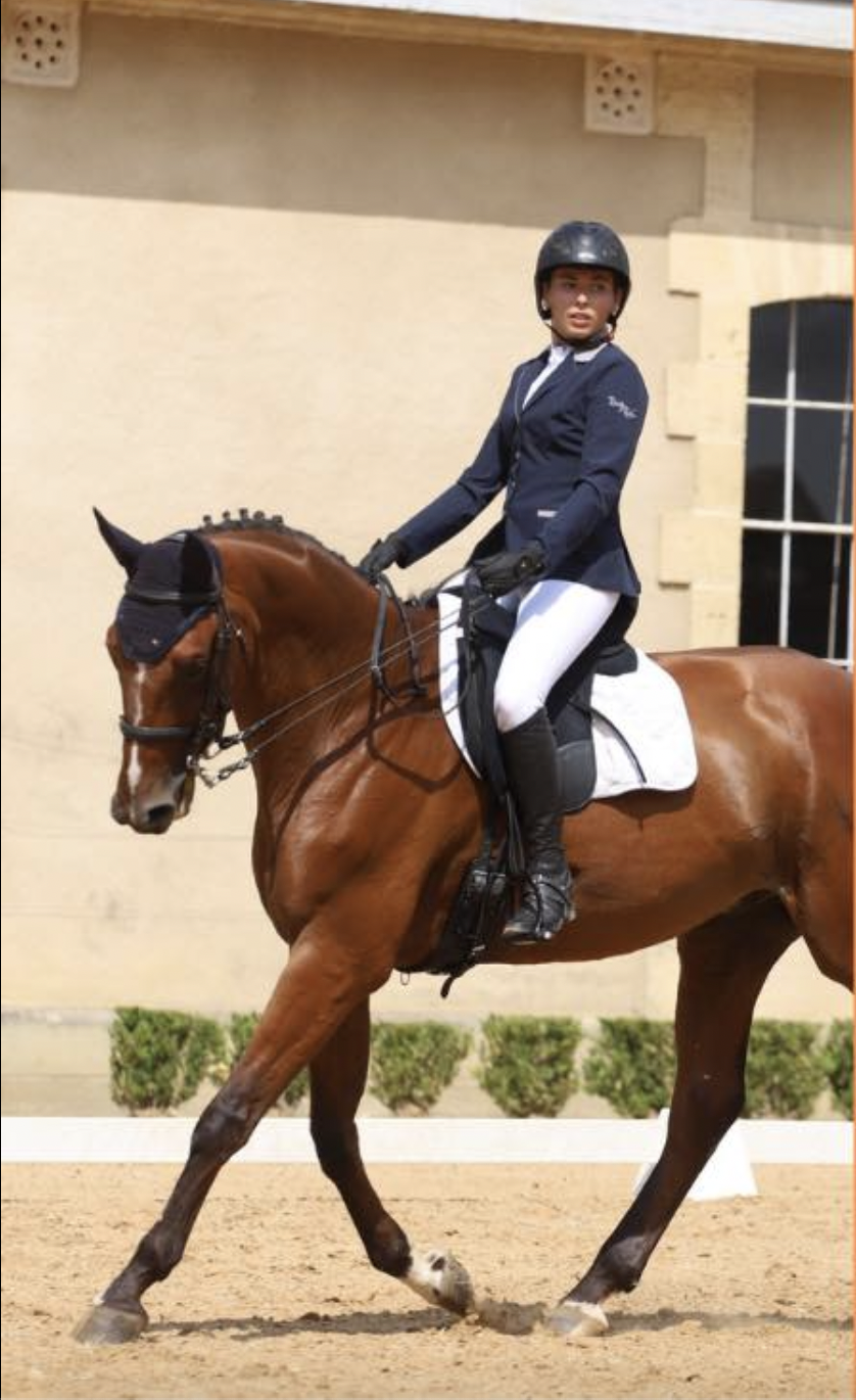 Accueil - Club Hippique